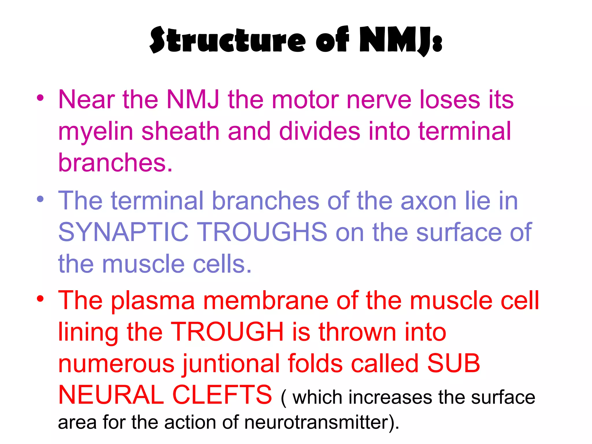 Neuromuscular Transmission | PPT