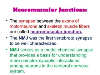 Neuromuscular Transmission | PPT