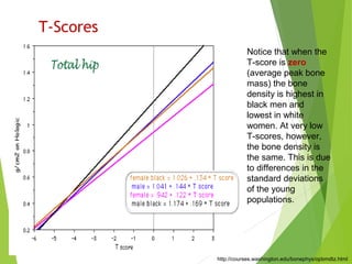 Nmt 631 bone densitometry | PPT