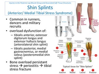 Nmt631 msk lower extremity pathology | PPTX