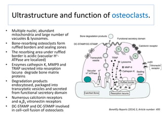 Nmt631 scintigraphy in common bone diseases | PPTX | Bone and Joint ...