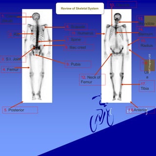 Skeleton systems examination in medical | PPTX