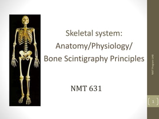Anatomy And Physiology of Human skeletal system | PDF
