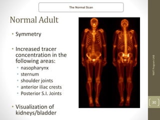 Anatomy And Physiology of Human skeletal system | PDF
