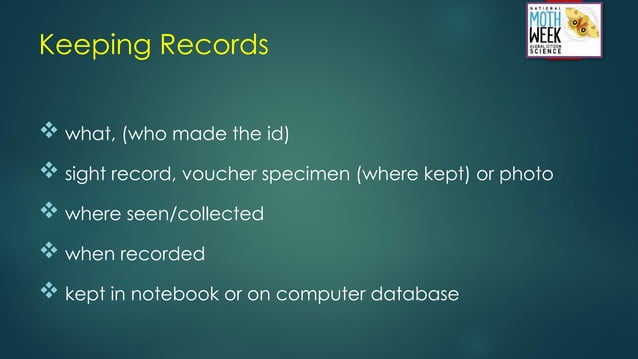 NMW 2025 - Rough Guide to micros (150ppi).pptx