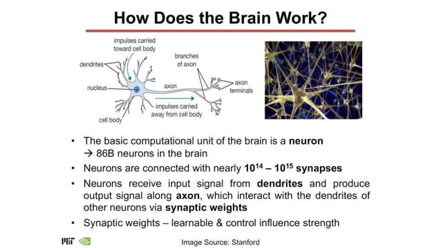 Neural Networks Hardware Accelerators (An Introduction) | PPTX
