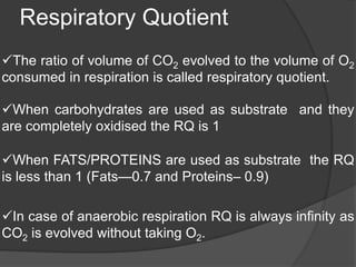 Chapter_13_Respiration.pptx