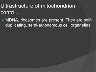 Chapter_13_Respiration.pptx