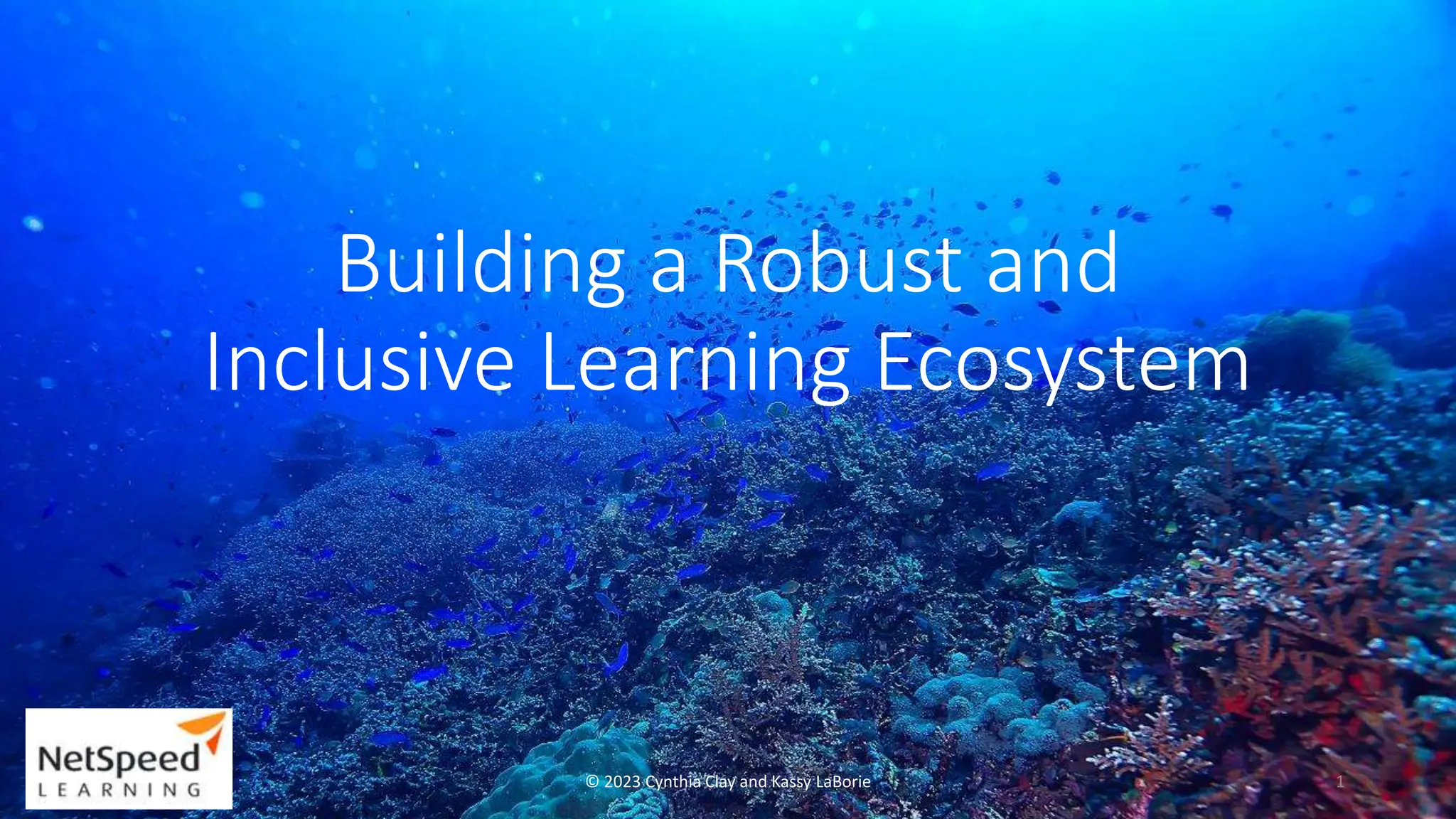 Building a Robust and Inclusive Learning Ecosystem | PPT