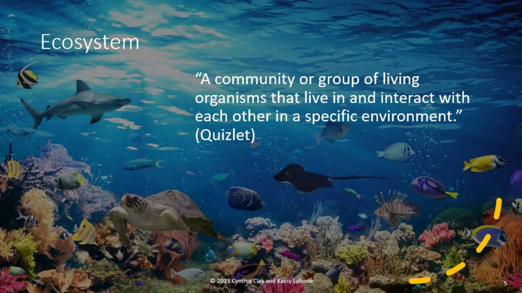 Building a Robust and Inclusive Learning Ecosystem | PPTX