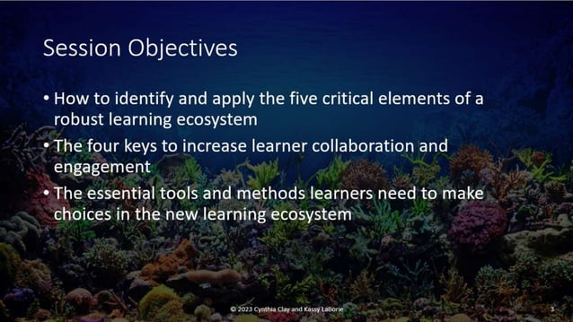 Building a Robust and Inclusive Learning Ecosystem | PPTX