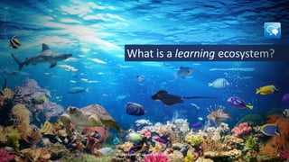 Building a Robust and Inclusive Learning Ecosystem | PPTX