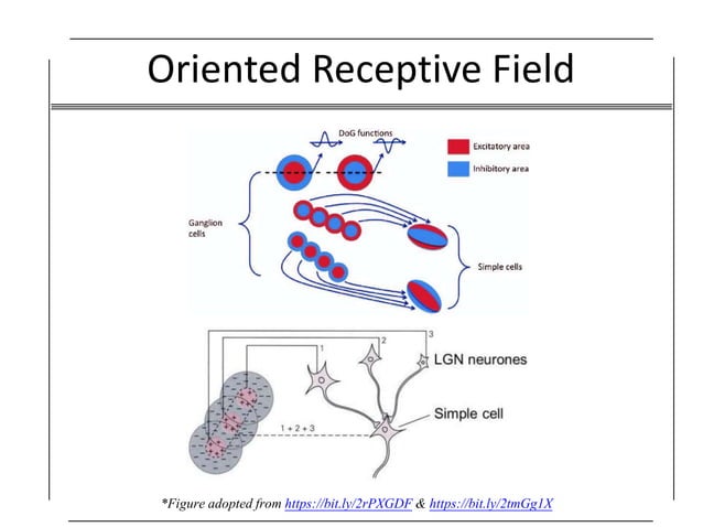 Neural Network Design: Chapter 18 Grossberg Network | PPT