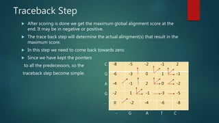Needleman-wunch algorithm harshita | PPTX