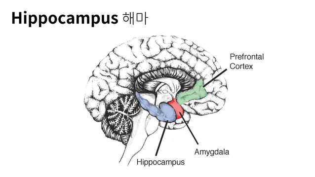 Neural Networks Basics With Pytorch Pdf