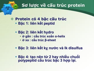 ổN định cấu trúc protein bằng phun sấy | PPTX