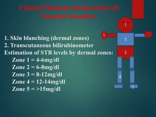 Neonatal jaundice | PPTX | Pregnancy | Reproductive Health