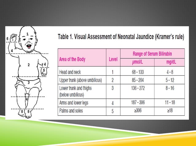 NNJ.pptx | Pregnancy | Reproductive Health