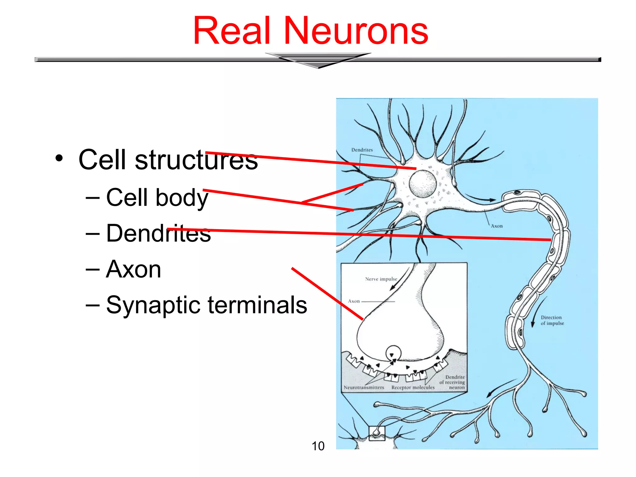 Artificial Neural Networks - ANN | PPT