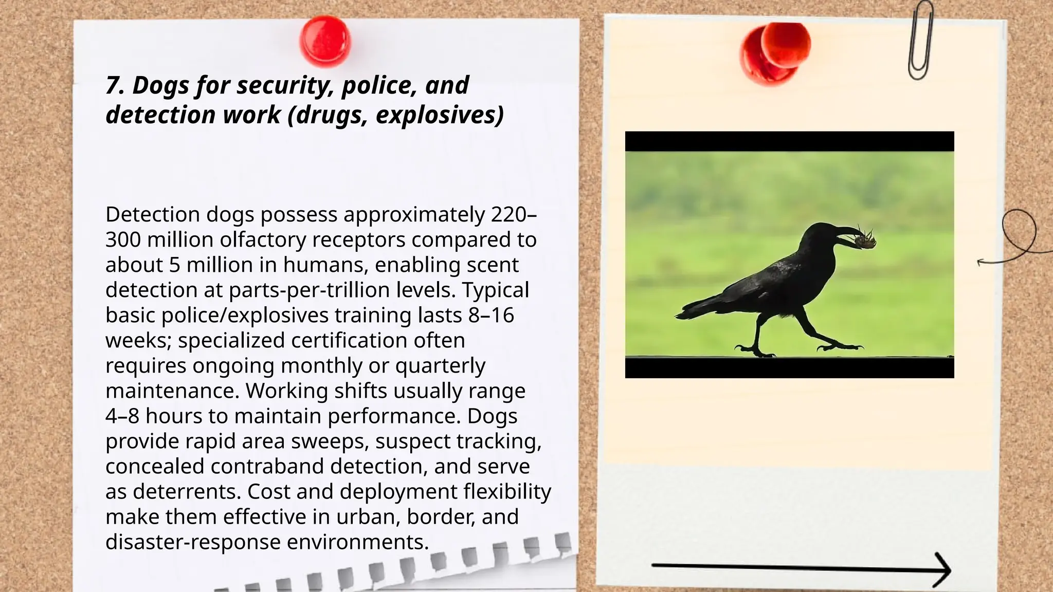 Nnnn.pptxvvvvvv. Ccccvvvvvvccccccccccc | PPTX