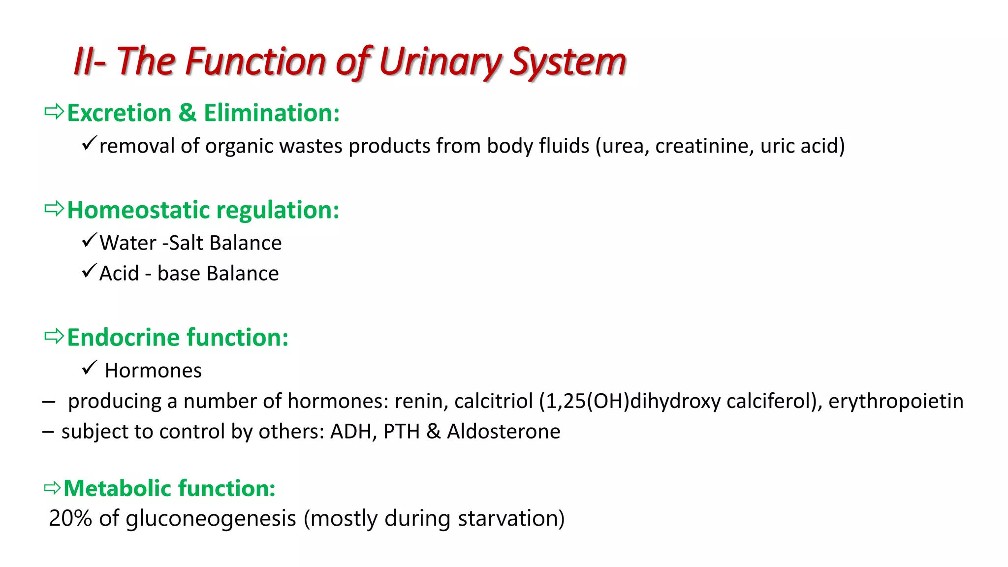 nnnrenal function.pptx