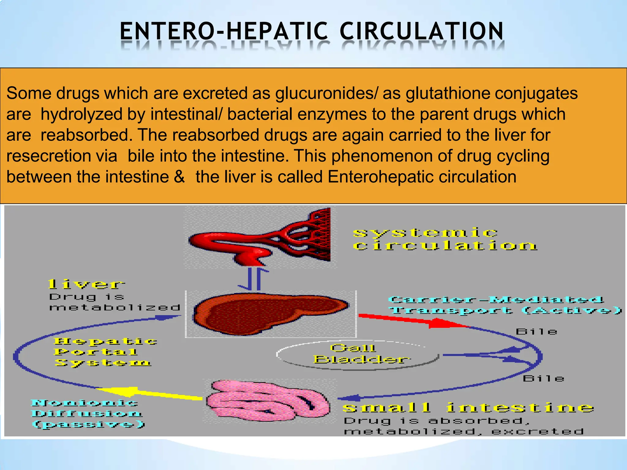 n NON RENAL EXCRETION OF DRUGS.pptx biopharmaceutics | PPTX