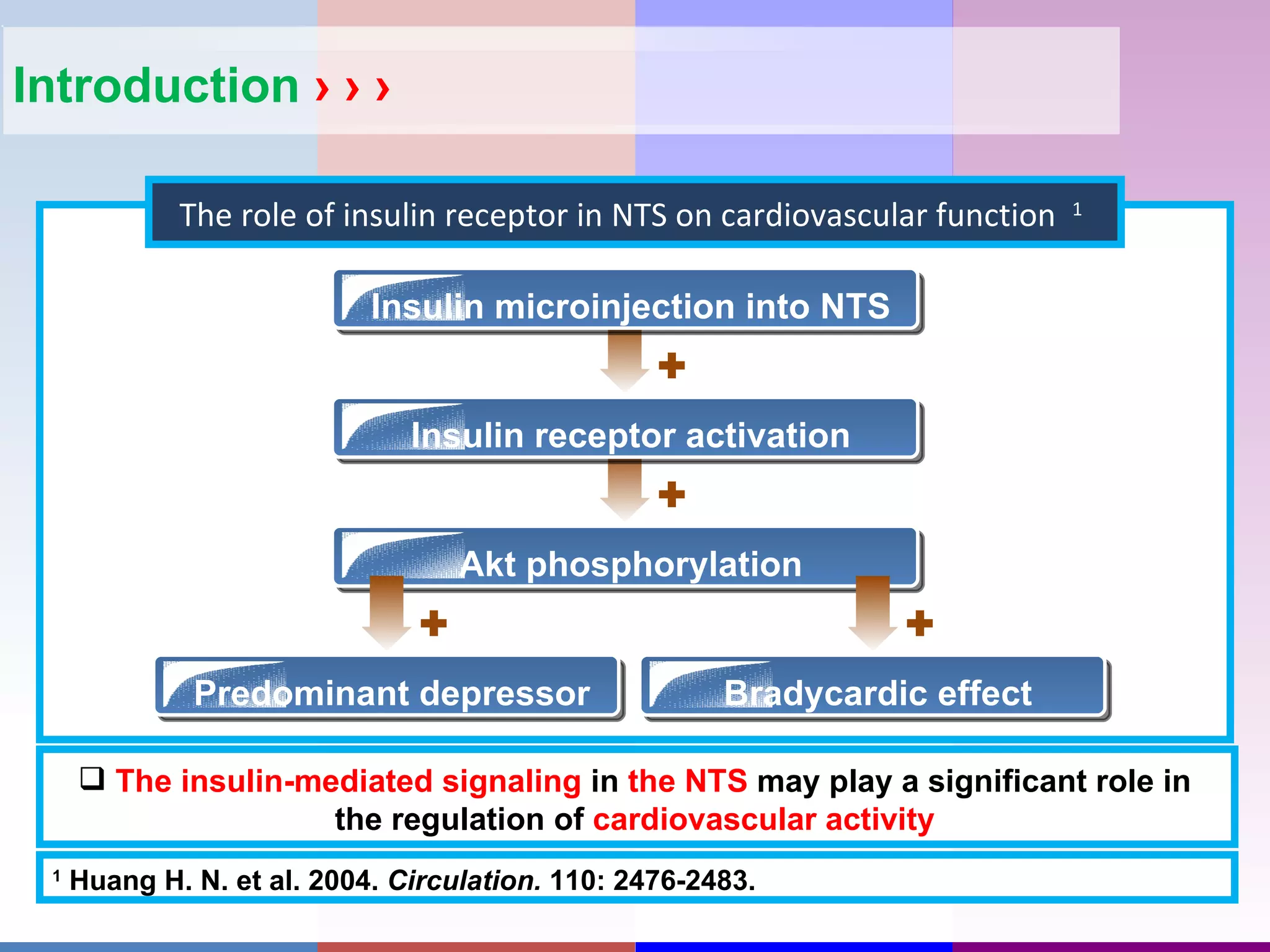 nNOS activation is involved in insulin-mediated CV effects in the NTS | PPT