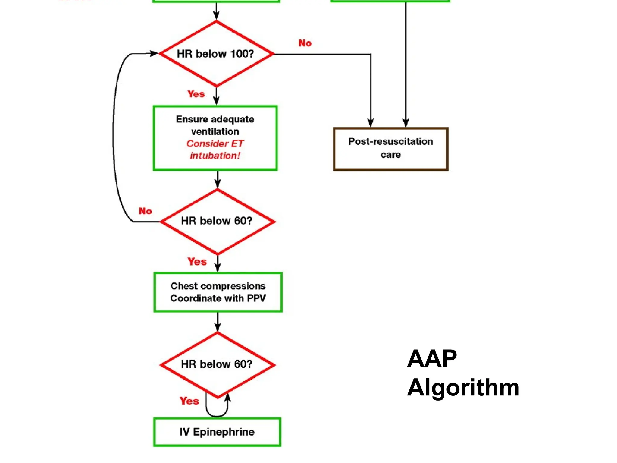 Neonatal Resuscitaion Protocol for OBG.ppt