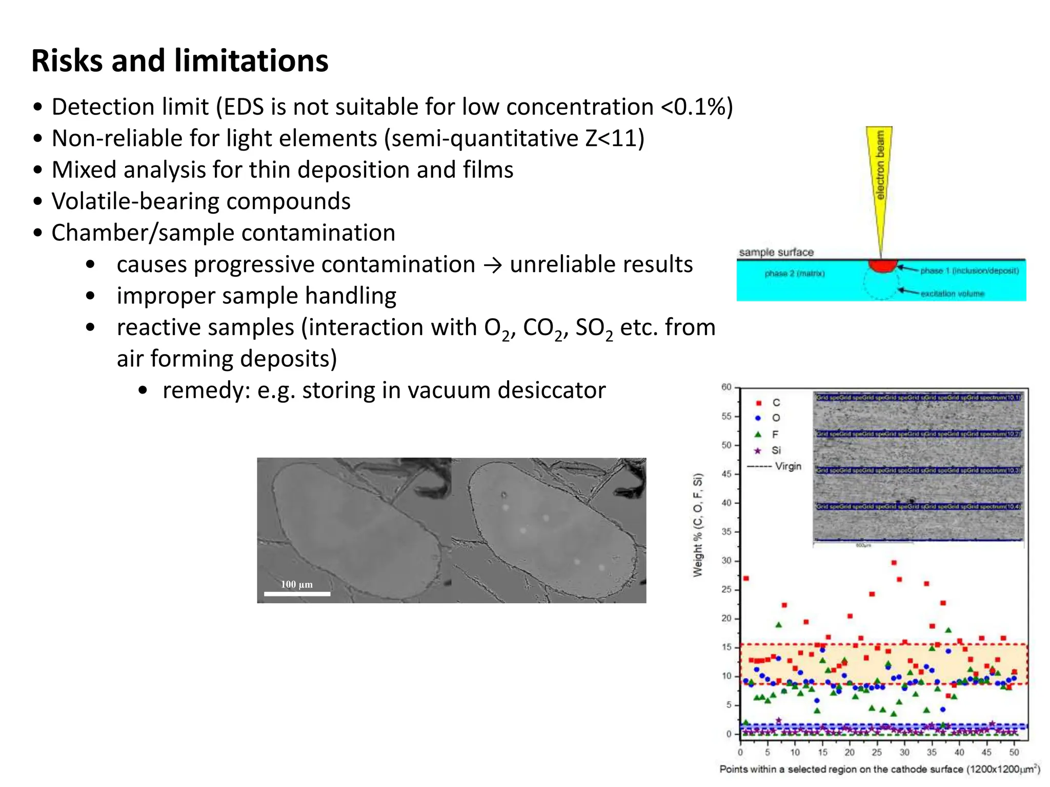 NN SEM. - principles and application.ppt