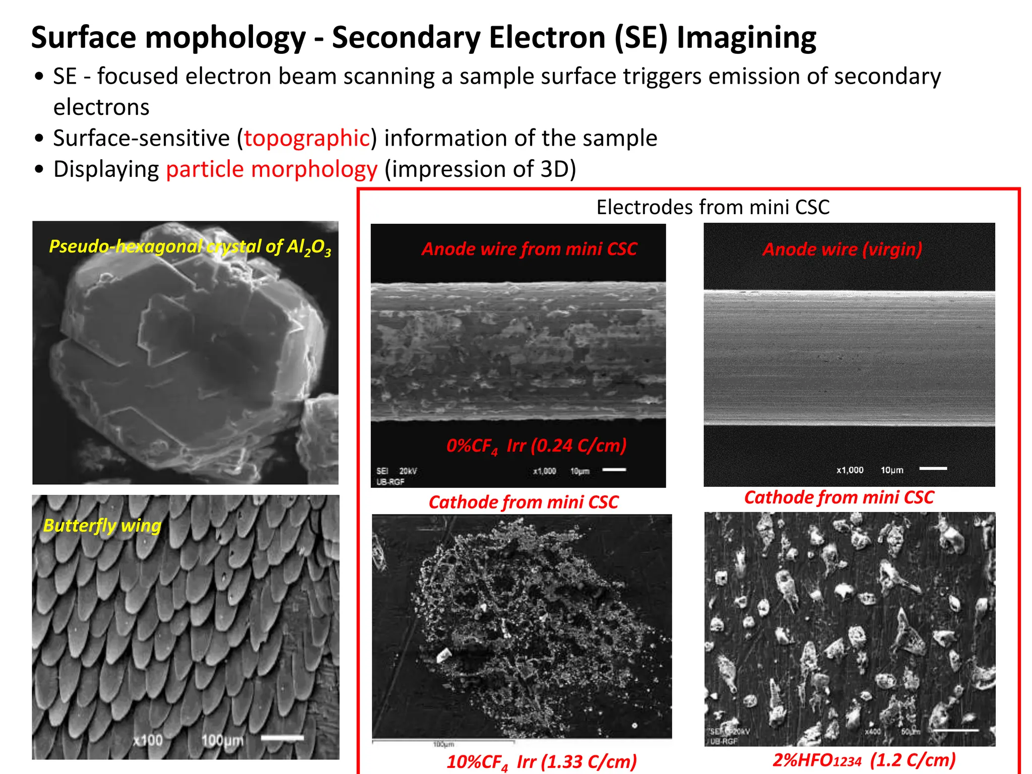NN SEM. - principles and application.ppt