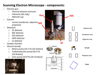 NN SEM. - principles and application.ppt