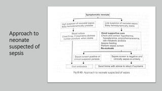 Neonatal Sepsis (NNS) | PPTX | Lung and Respiratory Health | Diseases and Conditions