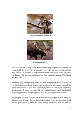 Nnt gt lich_sunb_quyen124 | PDF