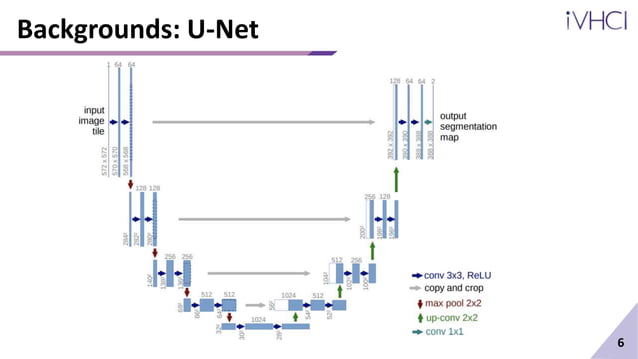 Nnu Net A Self Configuring Method For Deep Learning Based Biomedical Image Segmentation Ppt 