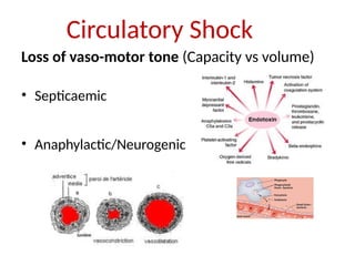 Circulatory Shock power point presentation | PPTX