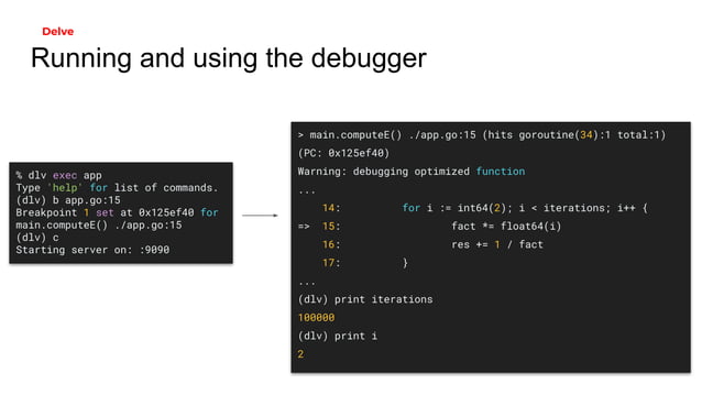 Go logging using eBPF | PDF