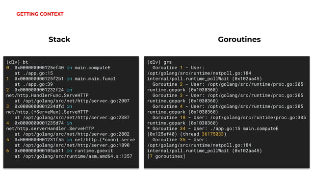 Go logging using eBPF | PDF