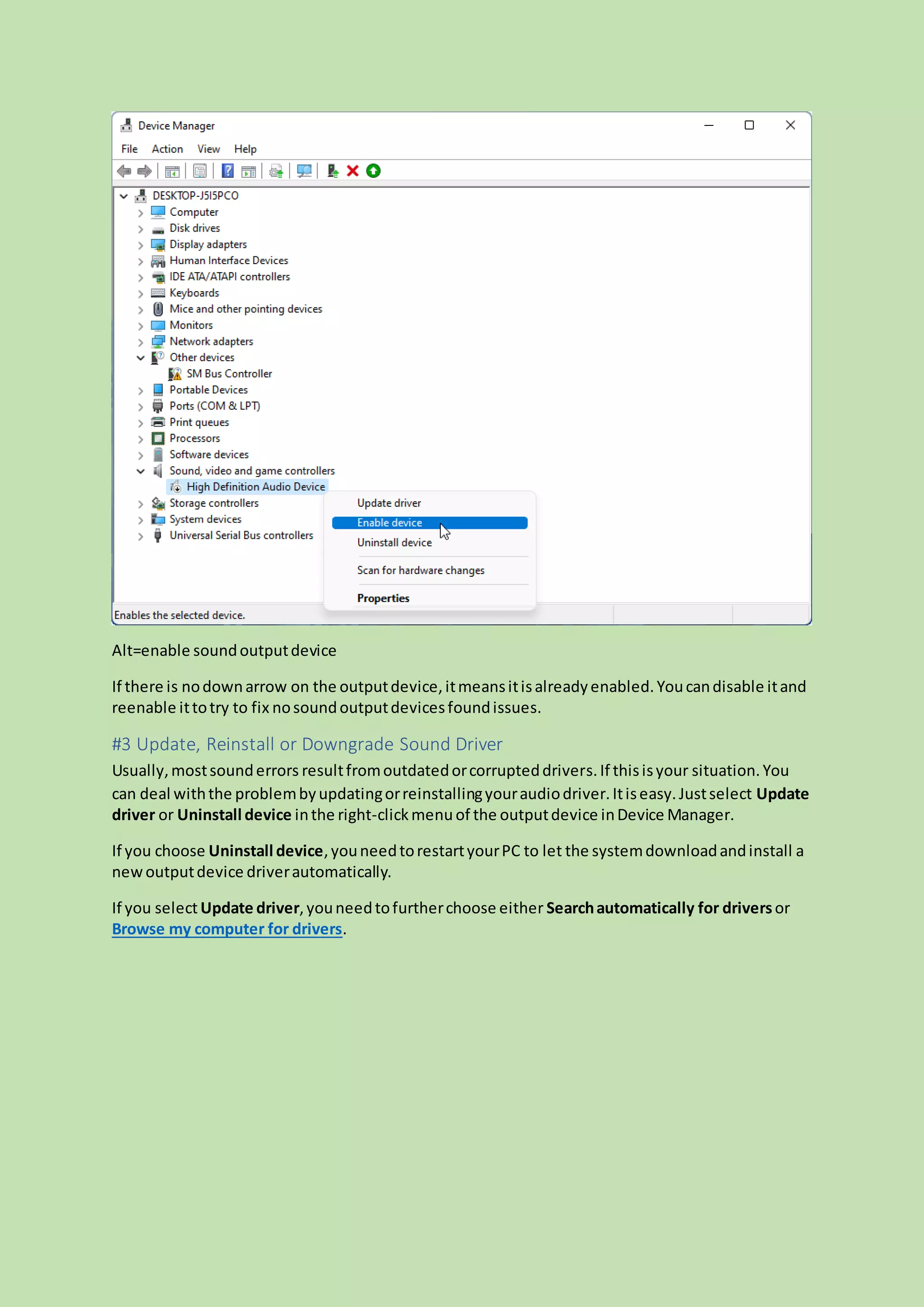 no output input devices found | PDF