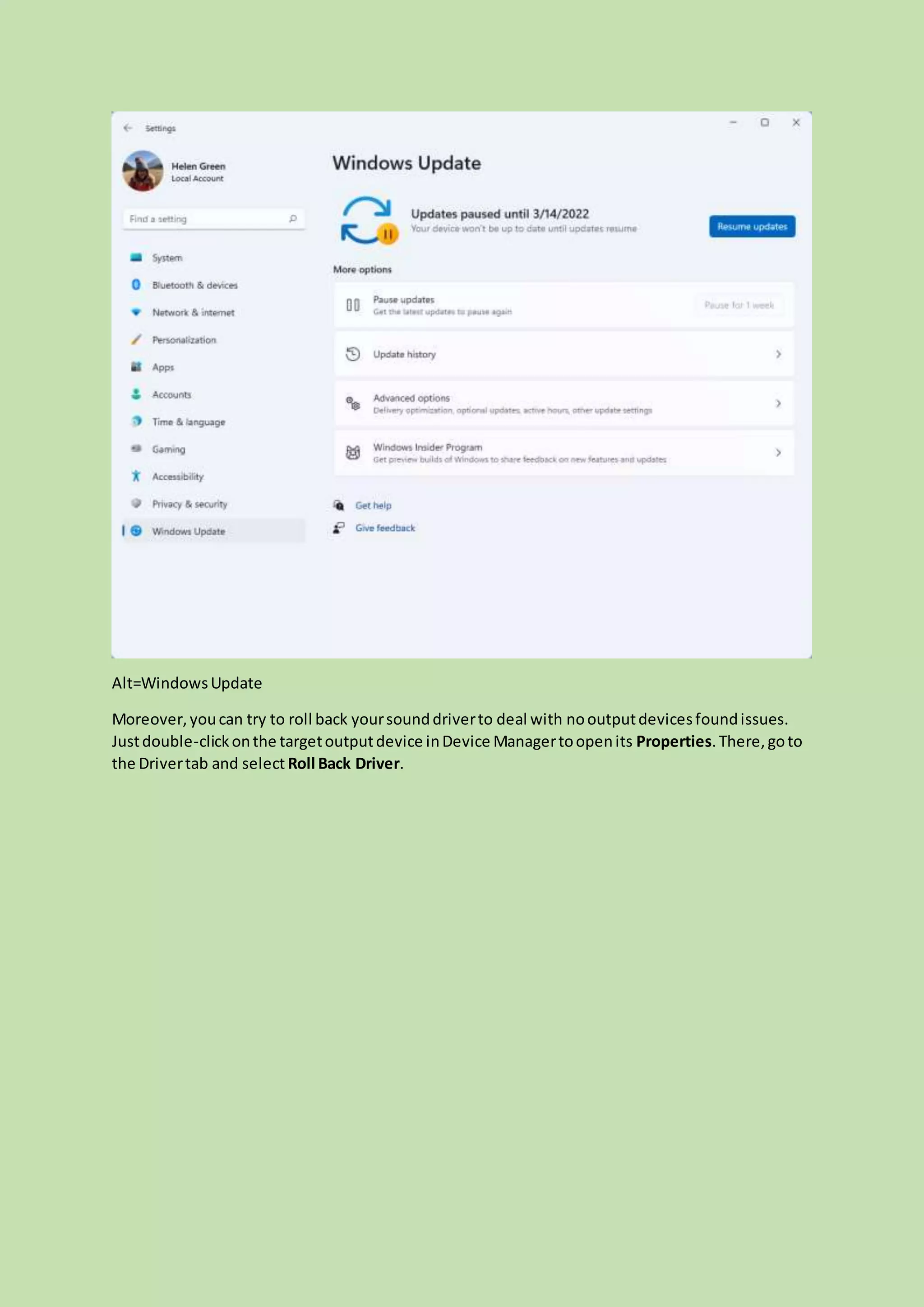no output input devices found | PDF
