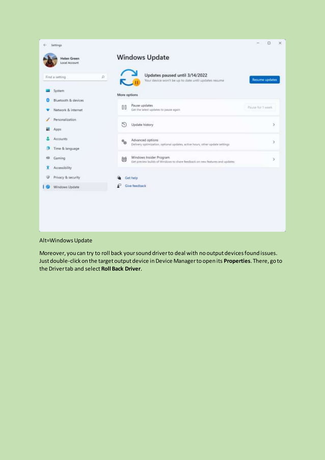 no output input devices found | PDF