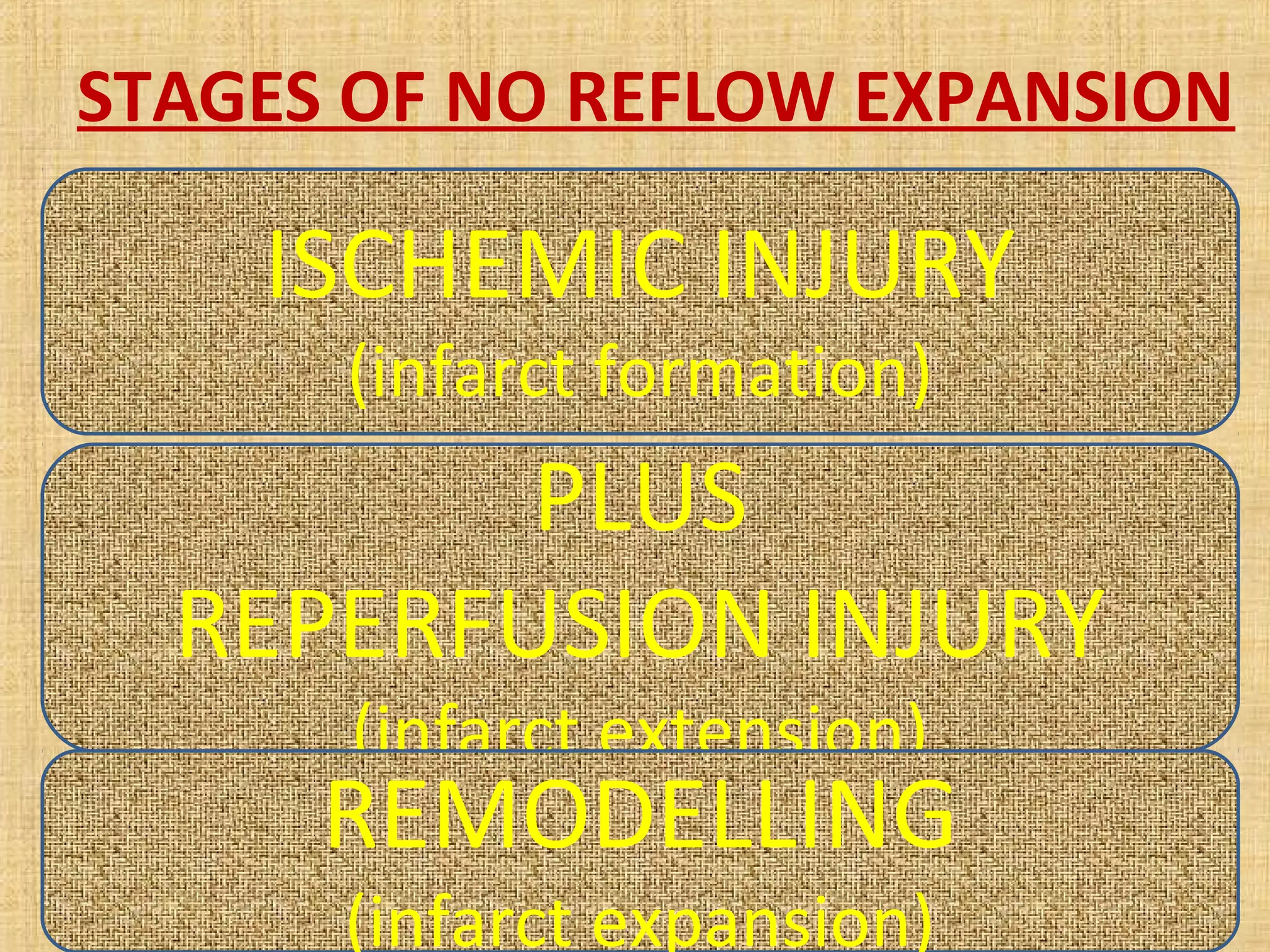 No reflow phenomenon by dr. deepchandh | PPT