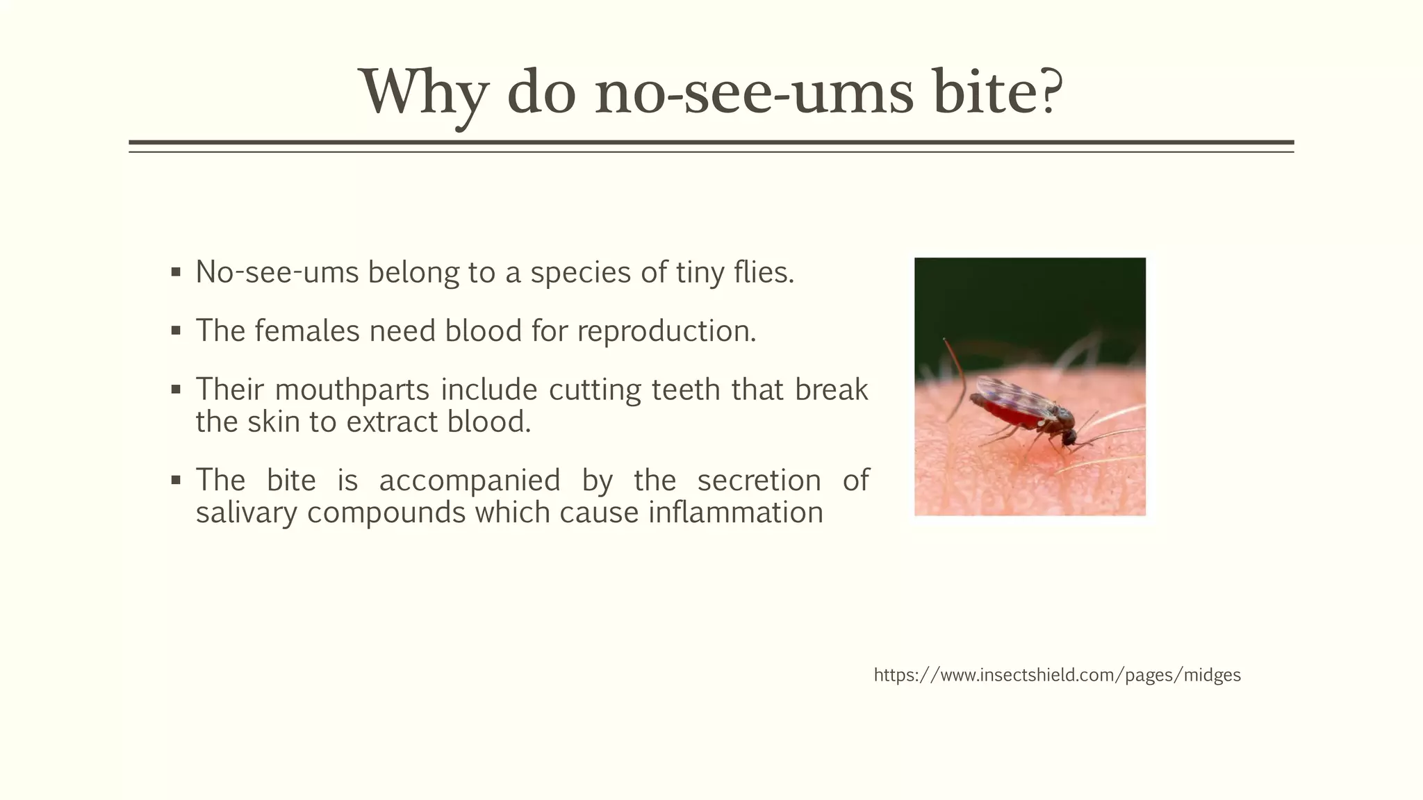 Invisible blood sucker: no-see-um (biting midge) | PDF