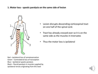 No Title | PPTX | Death, Injury, or Military Conflict | Sensitive Topics
