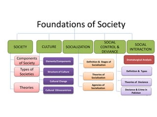 NOA-Sociology-01.pptxsociologynotesforcss | PPTX
