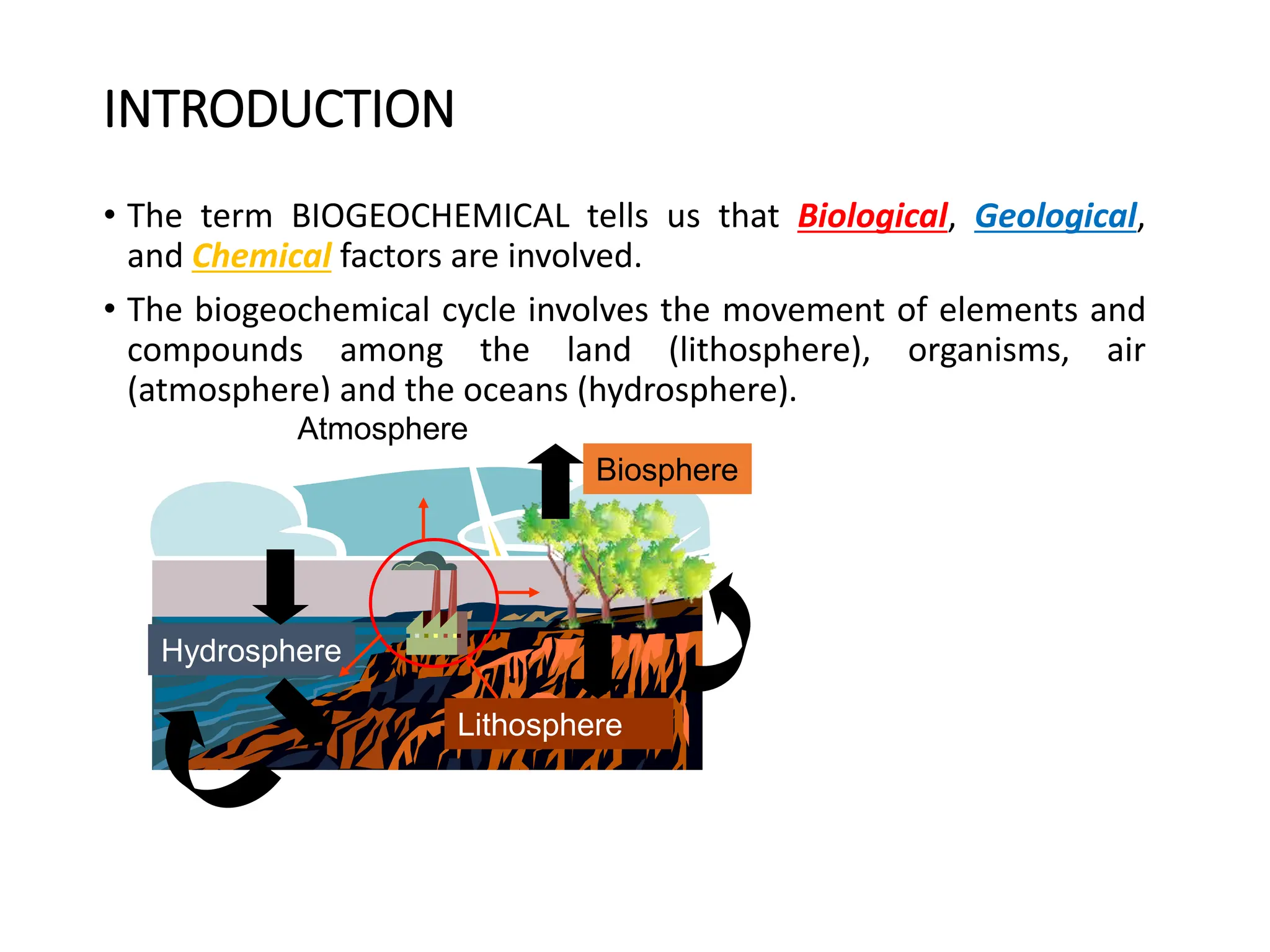 ROLE OF MICROBES BIOGEOCHEMICAL CYCLE IN OCEAN | PPT