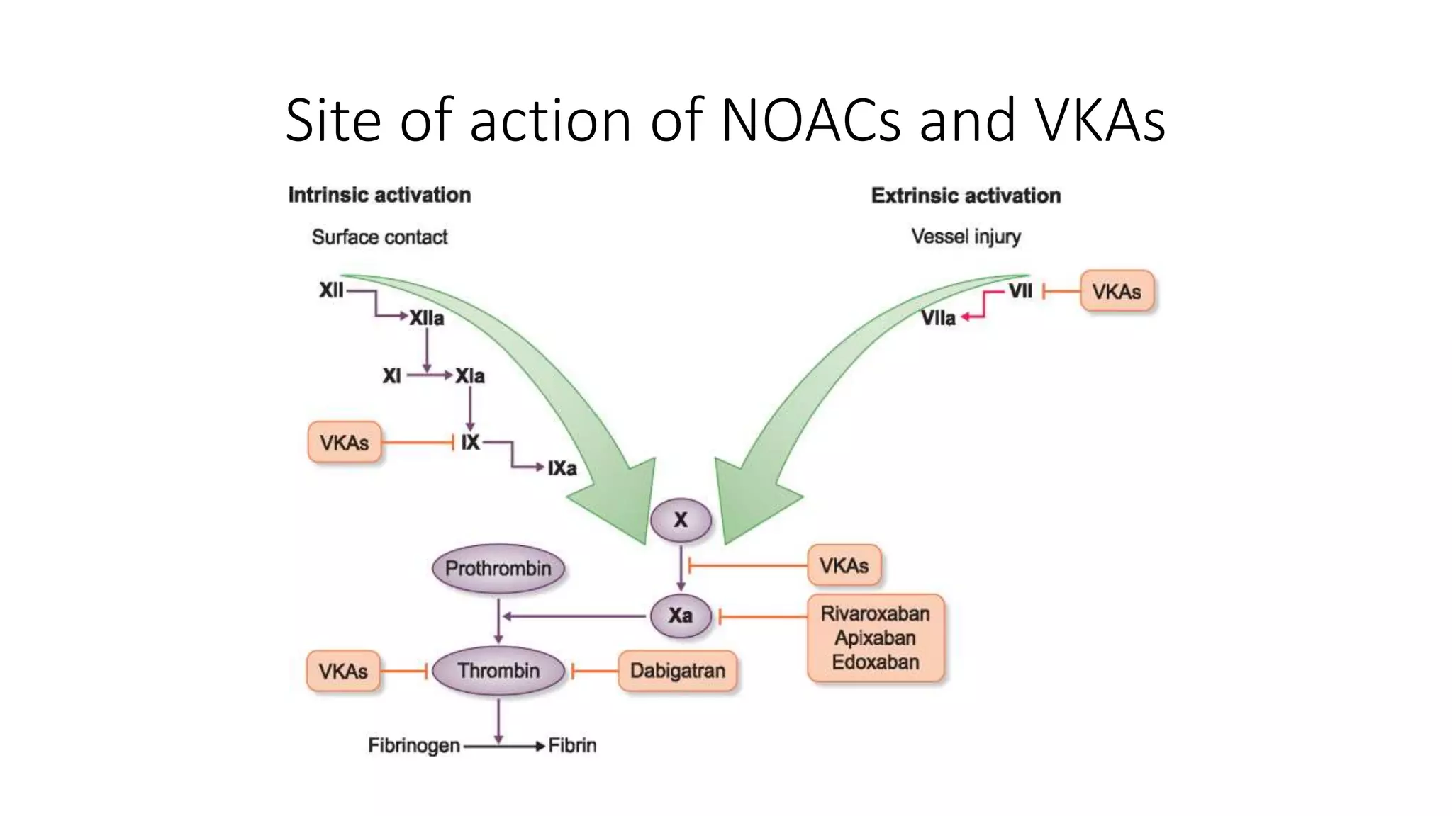 Newer Oral Anticoagulant in Chronic Kidney Disease | PPTX