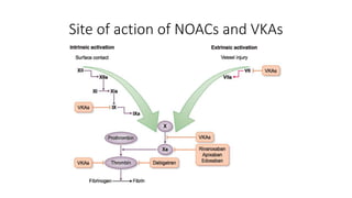 Newer Oral Anticoagulant in Chronic Kidney Disease | PPTX