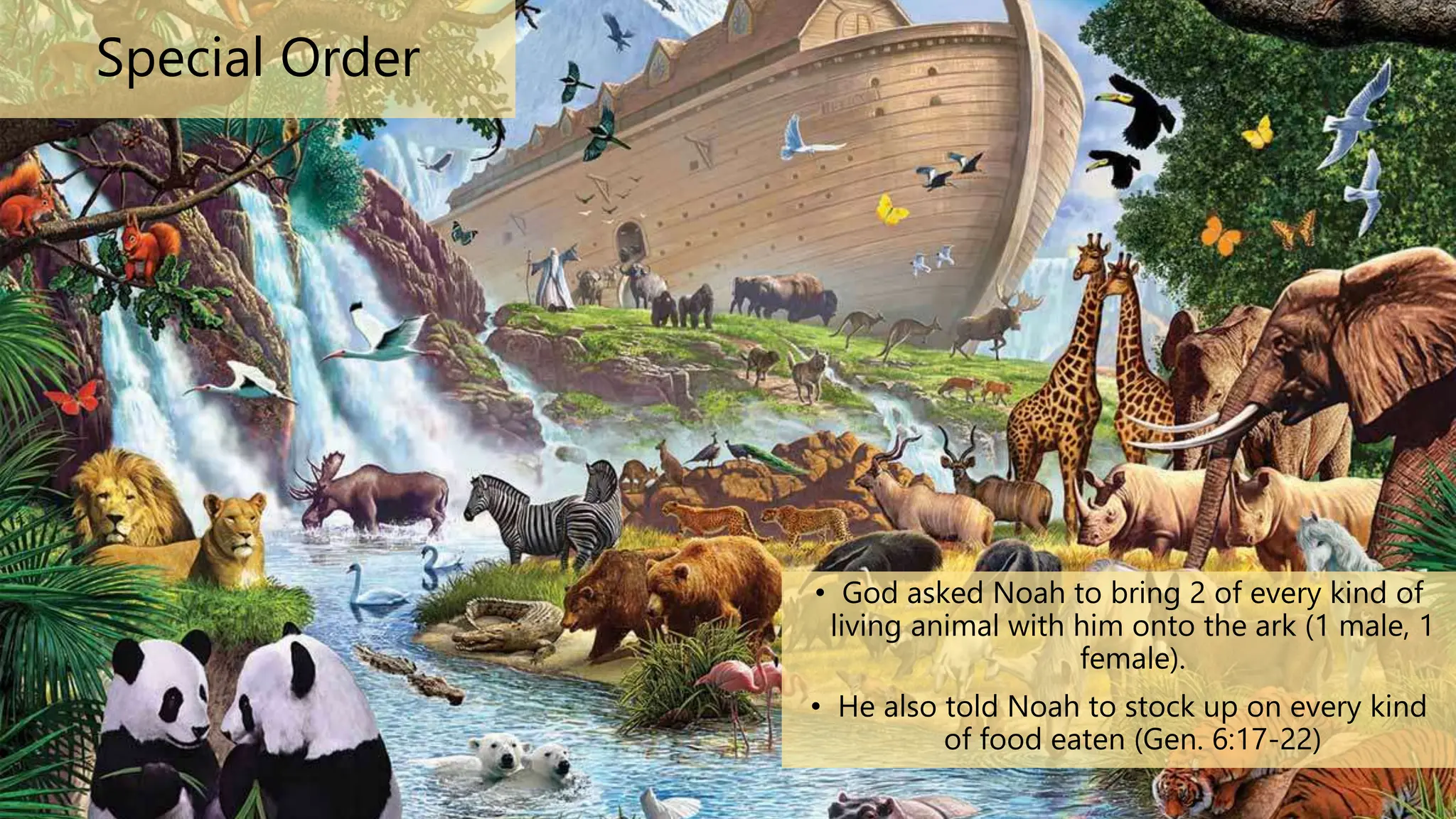 Noah and the Flood.pptx