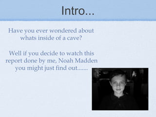 Noah maddens cave report | PPT
