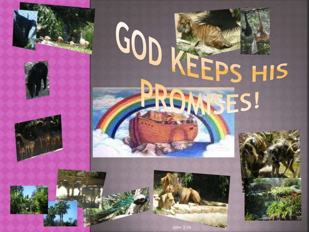 Noah’s ark quality child care slide show! | PPTX
